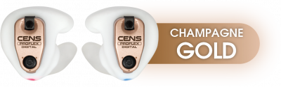 ProFlex DX1 Hearing Protection - CENS digital